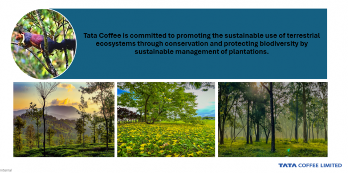 ARR Carbon Project | Tata Coffee